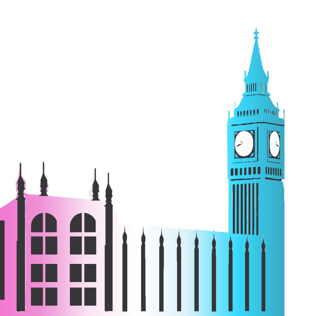 Meet Your MP – TransActual